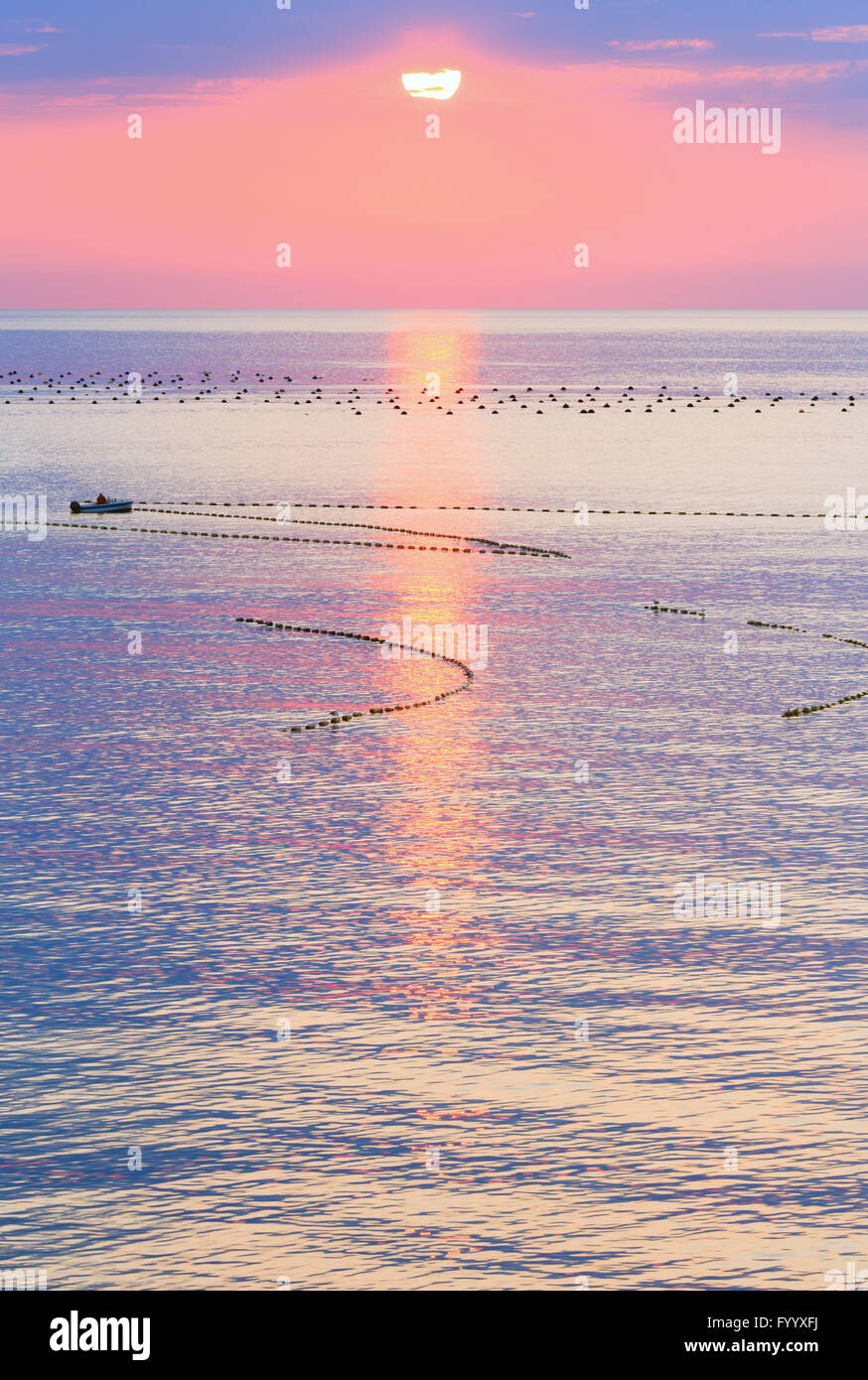 Fascinate hi-res stock photography and images - Alamy