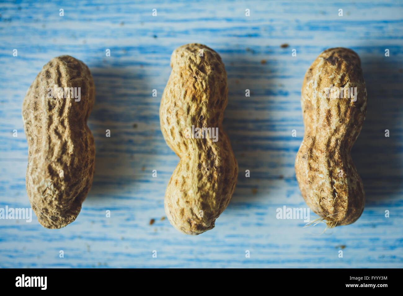 Blue shell pattern hi-res stock photography and images - Alamy