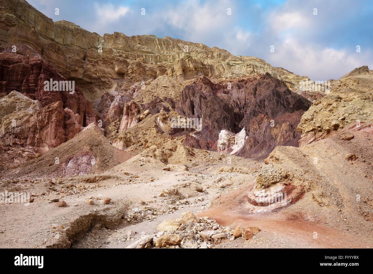 Desert king hi-res stock photography and images - Alamy