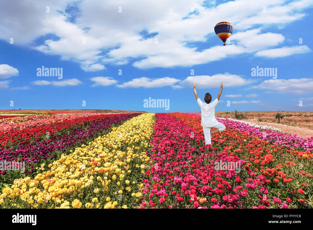 Balloon tree farm hi-res stock photography and images - Alamy