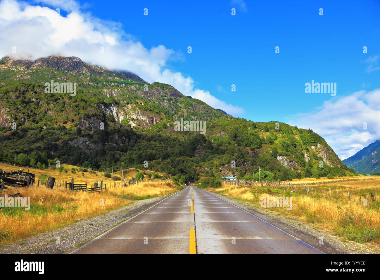 Nature patagonia wide fields chile hi-res stock photography and images ...