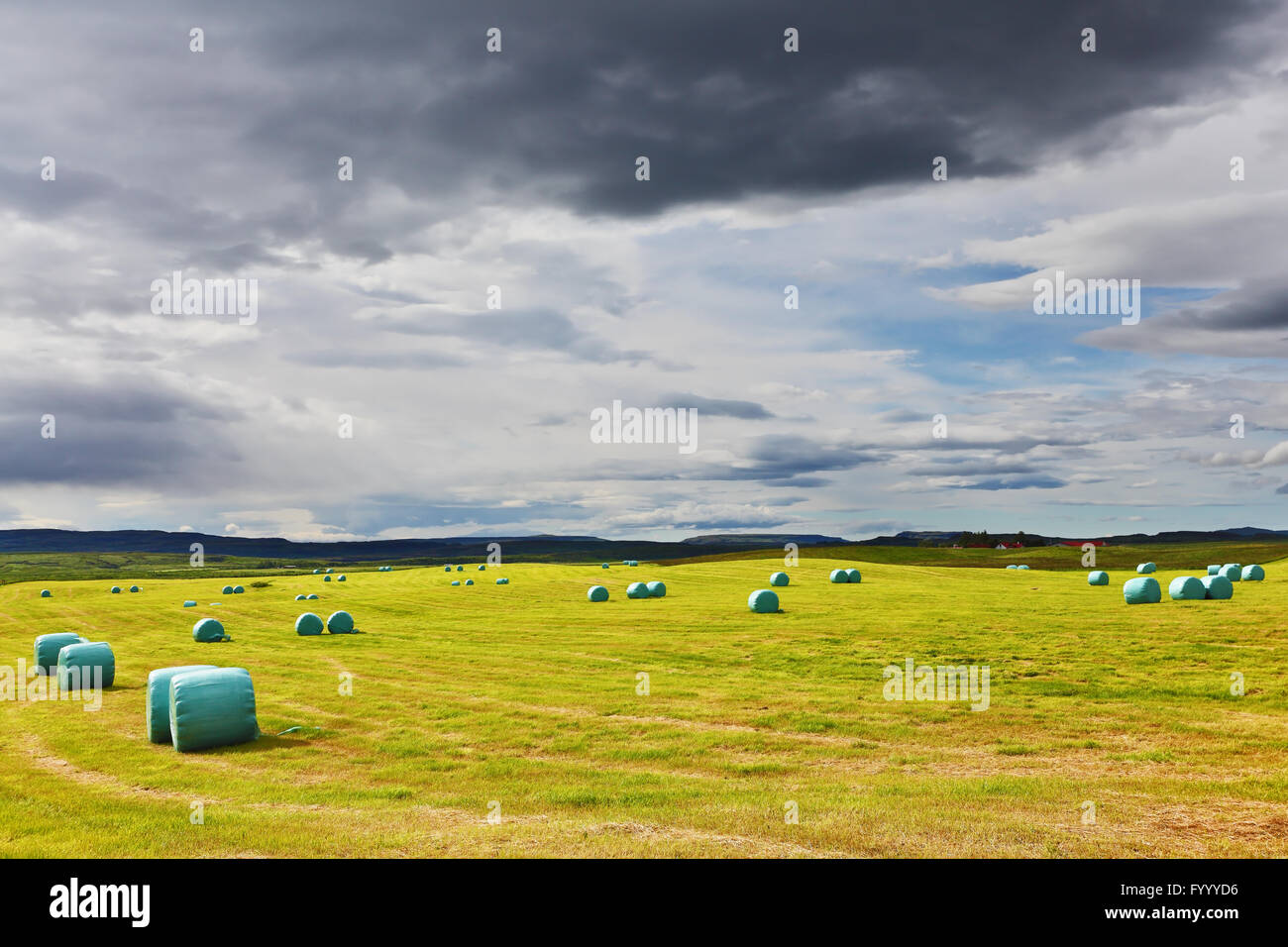Rural field with hay hi-res stock photography and images - Alamy