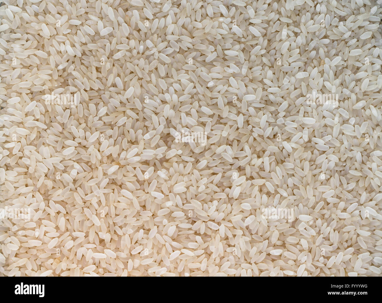 Uncooked rice background Stock Photo - Alamy