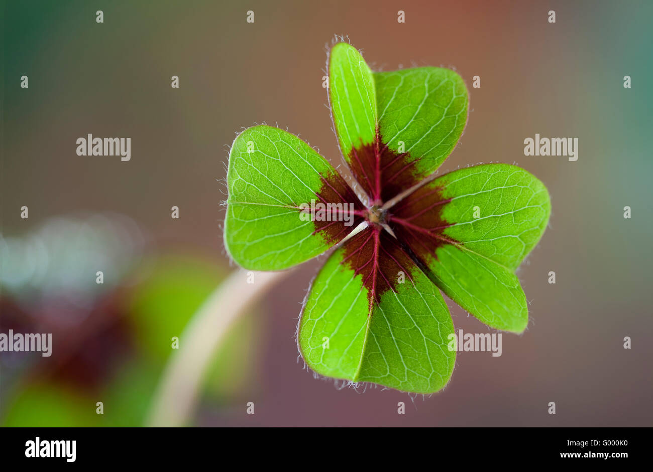 Trefoil symbol hi-res stock photography and images - Alamy