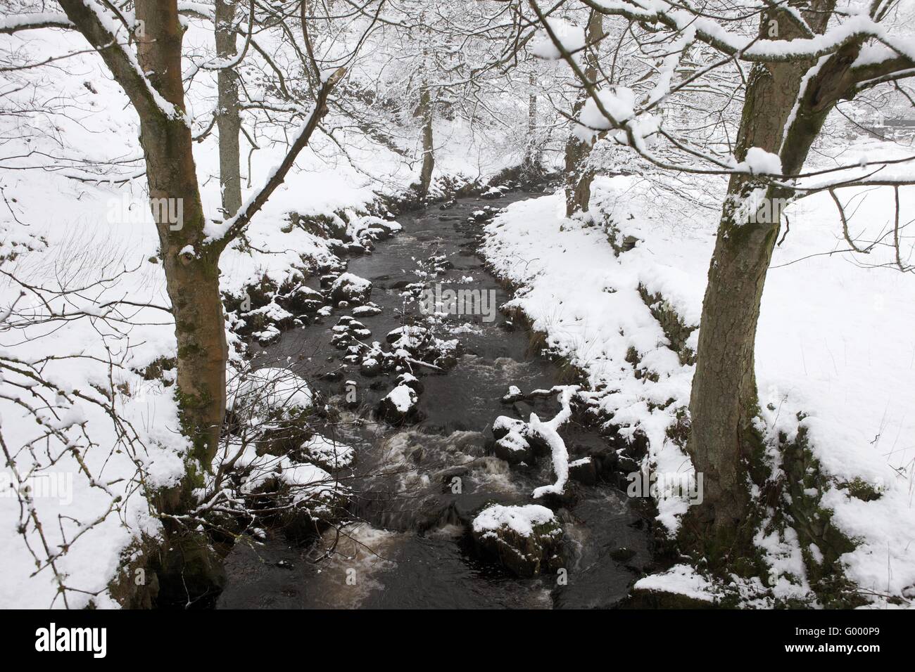 Black and White Winter snow scenes, shot in the hills above Hebden ...
