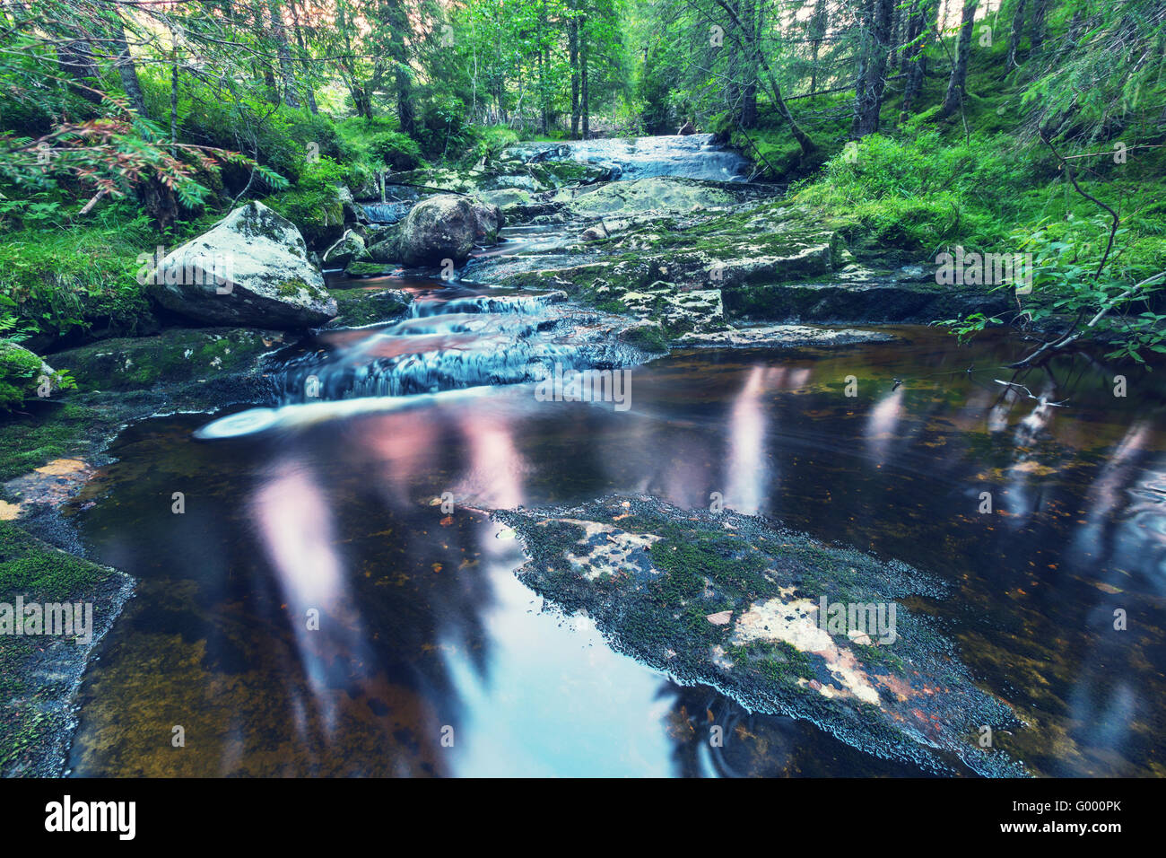 Creek in forest Stock Photo - Alamy