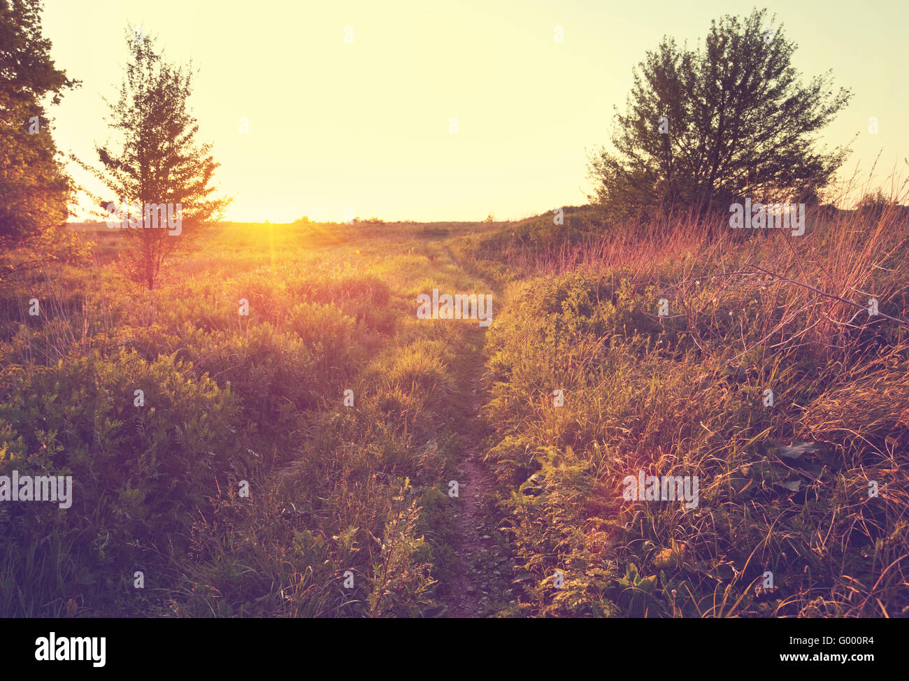 Road in field Stock Photo - Alamy
