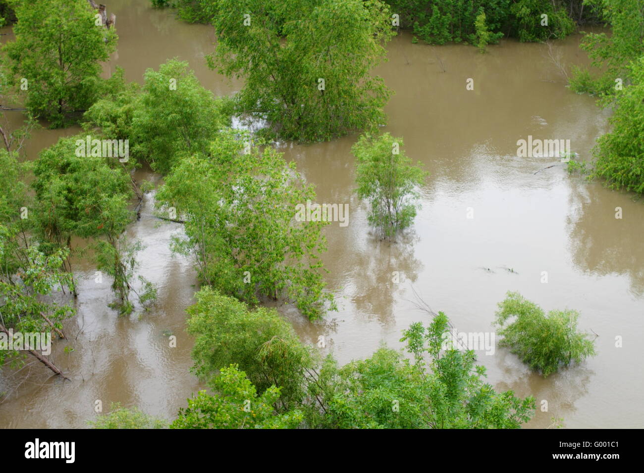 Trees and roads covered with flood water Stock Photo - Alamy