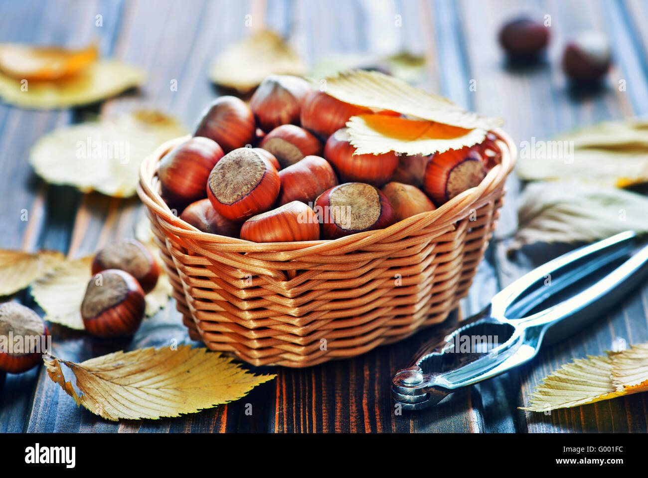 autumn leaves and hazelnuts on a table Stock Photo - Alamy