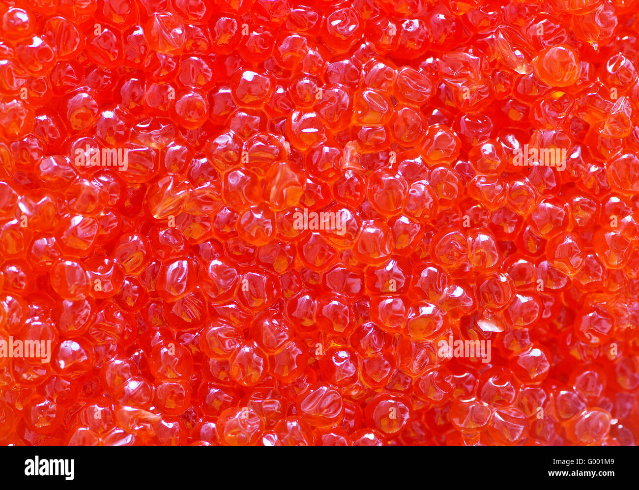 red salmon caviar, background from salmon caviar Stock Photo - Alamy