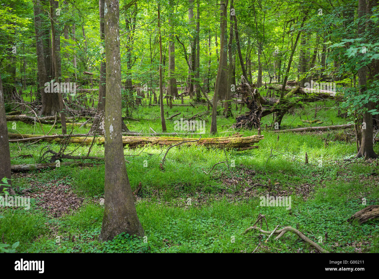Poe springs park hi-res stock photography and images - Alamy