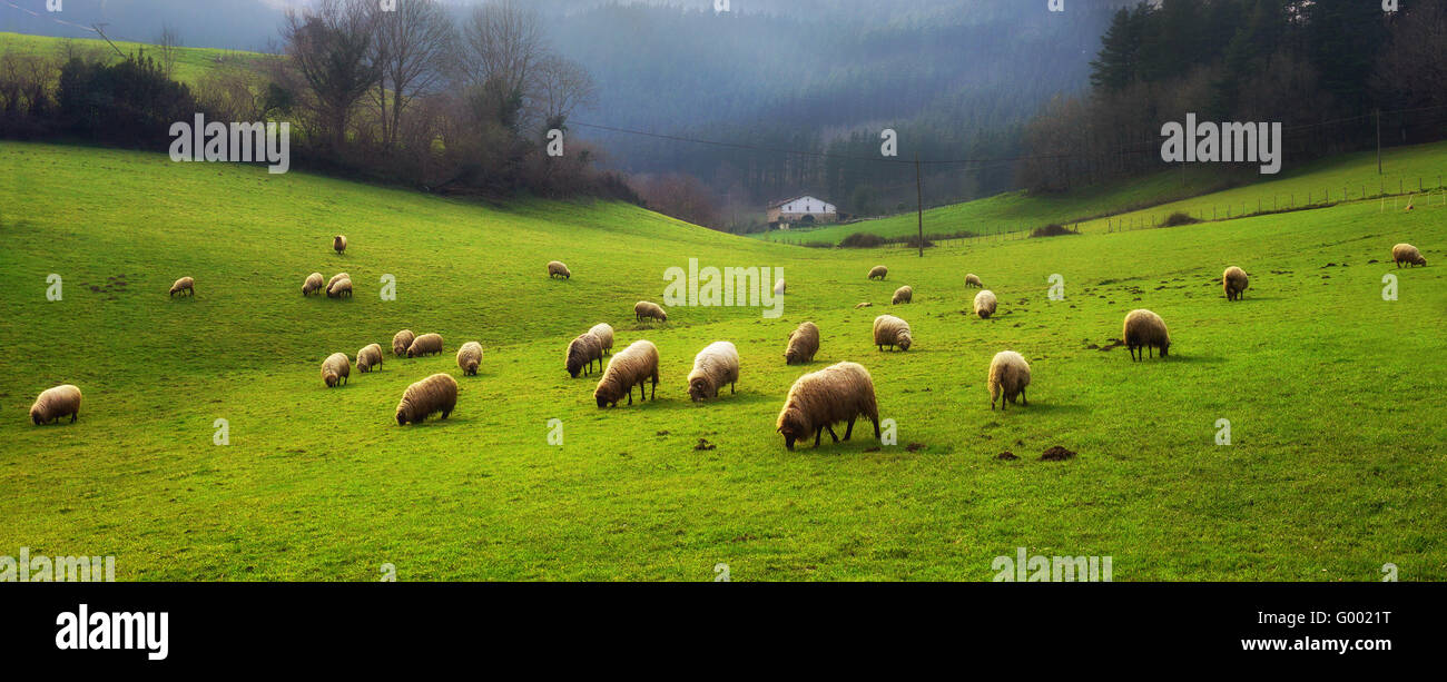 Atxondo hi-res stock photography and images - Alamy