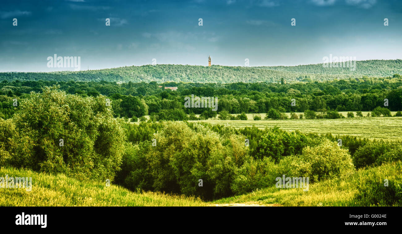 Grunewald landscape Berlin Stock Photo - Alamy
