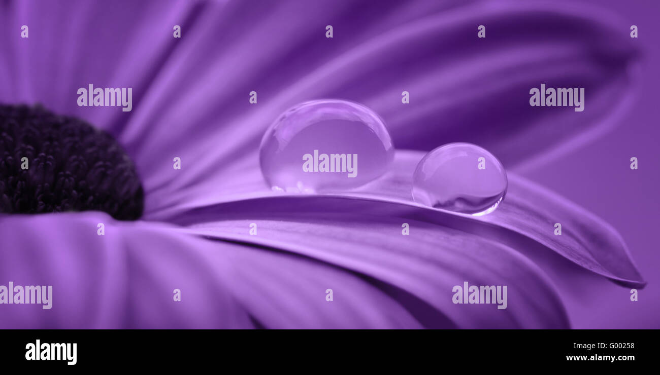 Zwei tropfen hi-res stock photography and images - Alamy