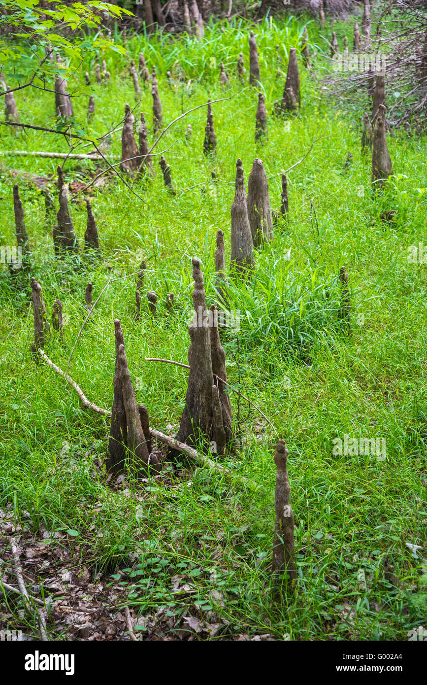 Poe springs park hi-res stock photography and images - Alamy