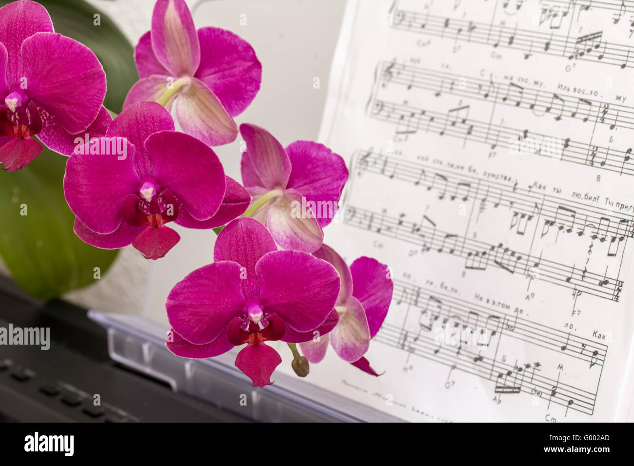 Pink orchid flower and synthesizer Stock Photo - Alamy