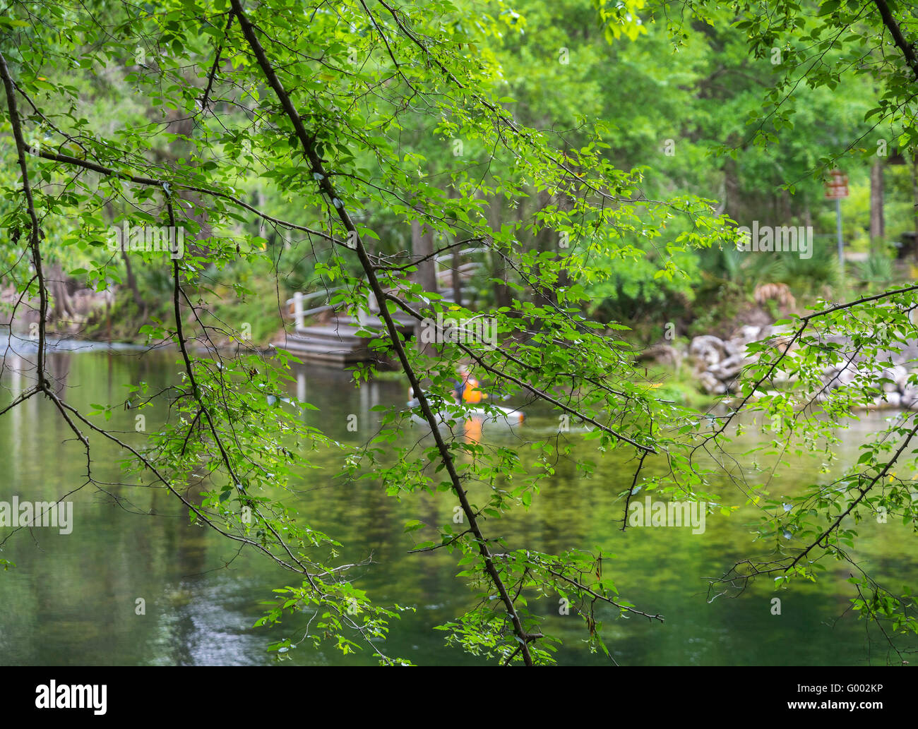 Florida poe springs park hi-res stock photography and images - Alamy