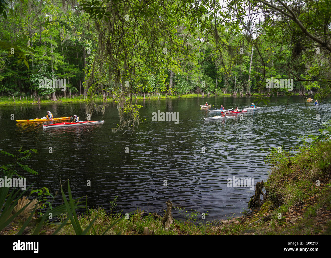 Florida poe springs park hi-res stock photography and images - Alamy