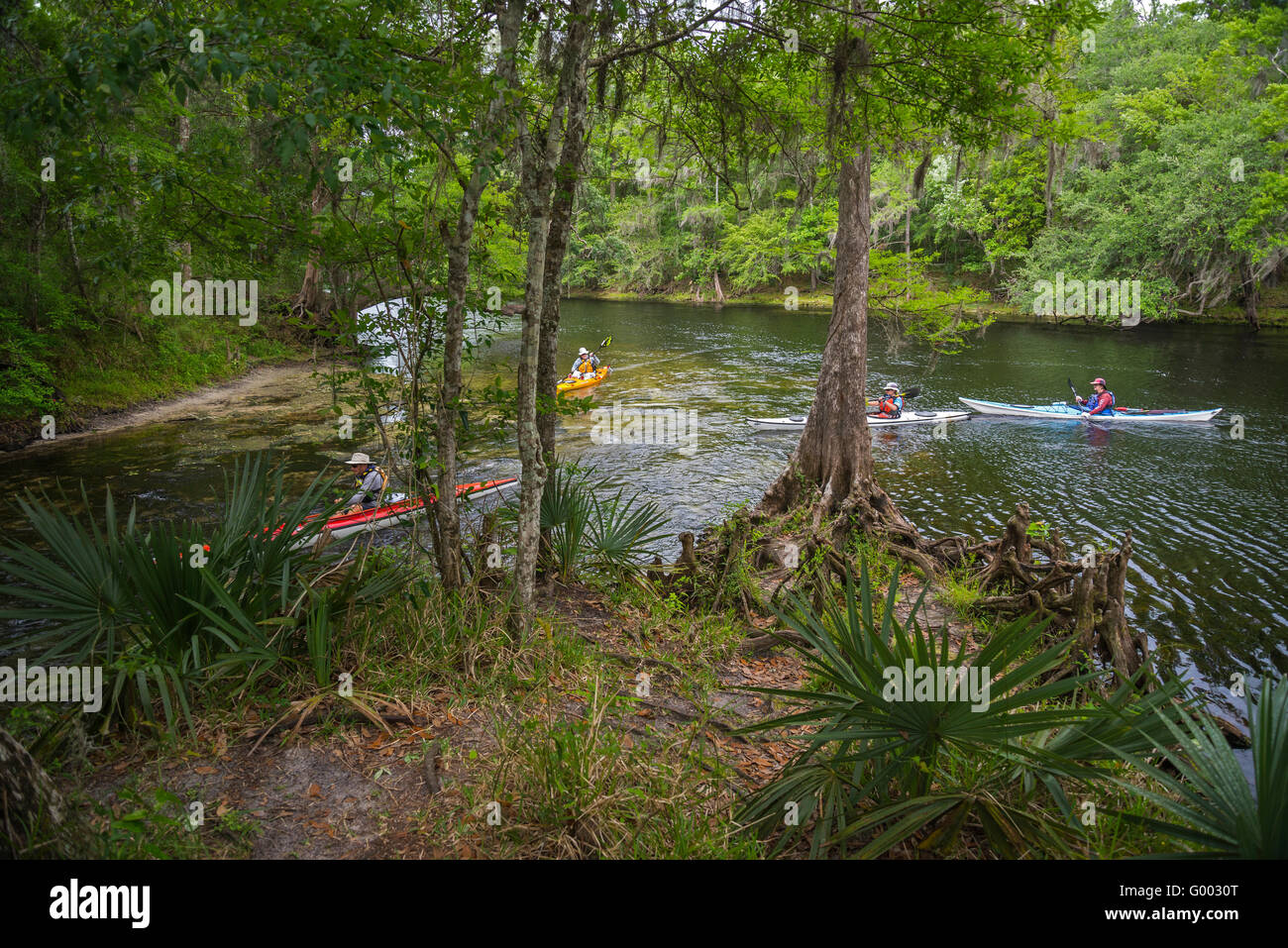 Poe Springs Park features a freshwater spring flowing out to the nearby ...