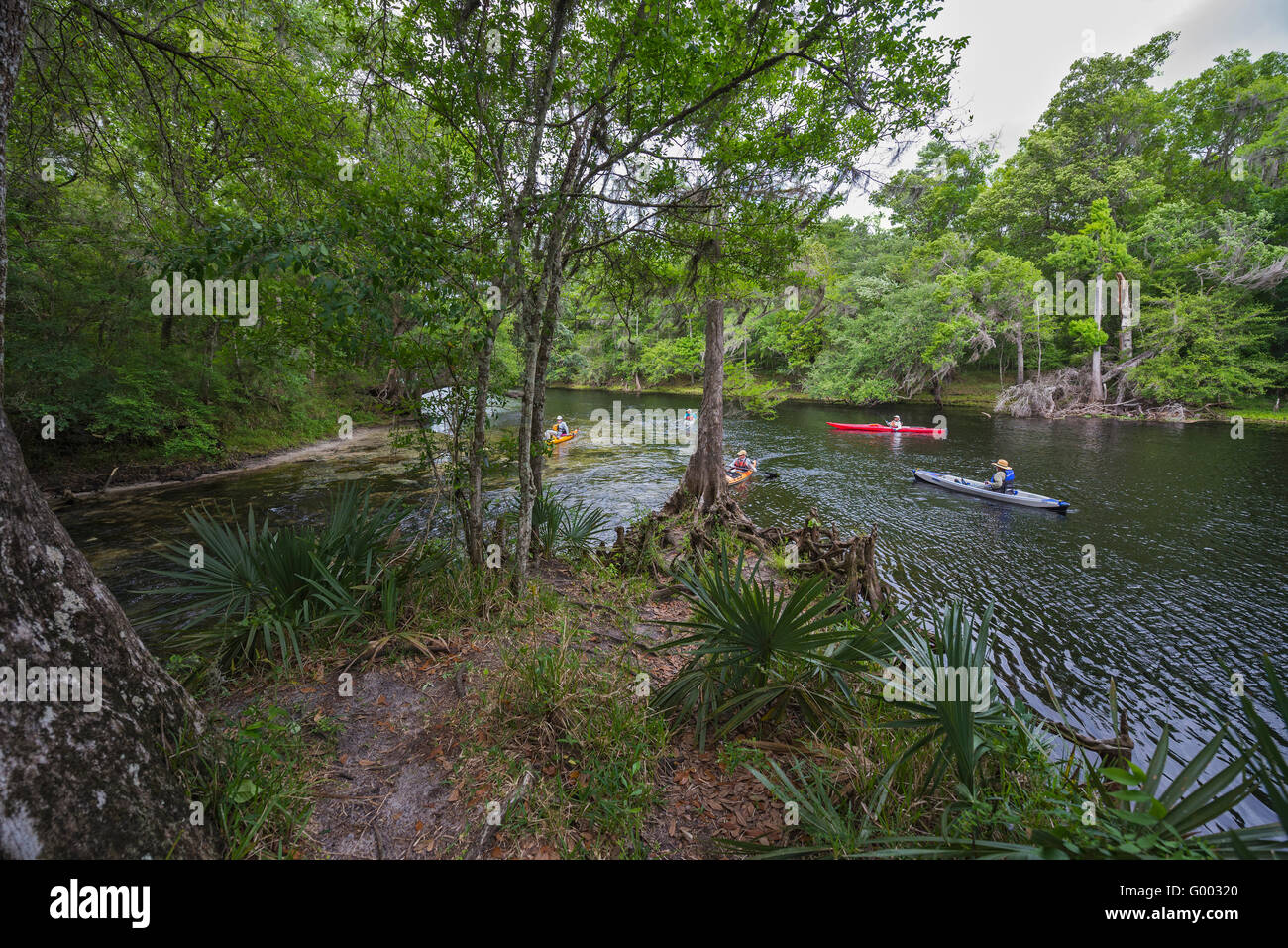 Florida poe springs park hi-res stock photography and images - Alamy