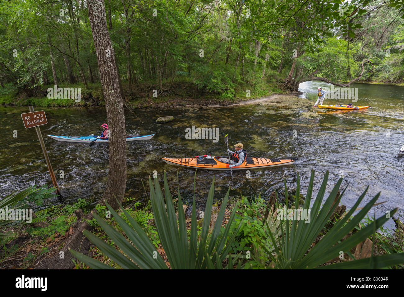 Poe Springs Park Stock Photos & Poe Springs Park Stock Images - Alamy