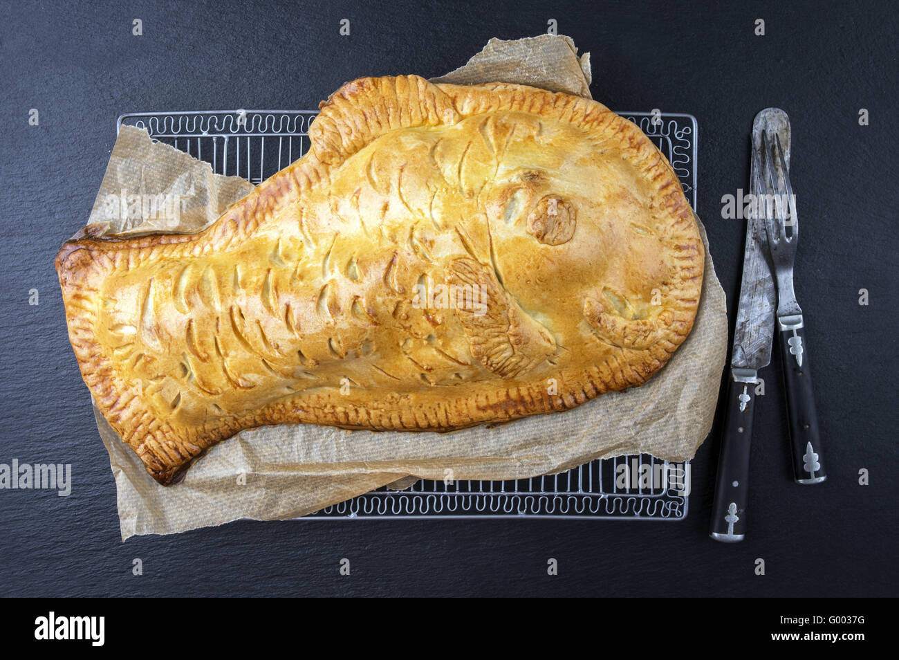 Pollack marine fish hi-res stock photography and images - Alamy