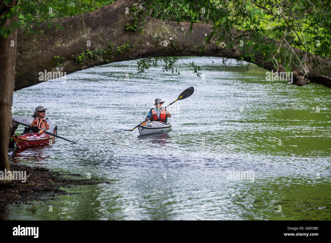 Freshwater spring hi-res stock photography and images - Alamy
