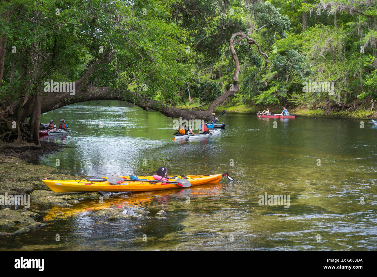 Florida poe springs park hi-res stock photography and images - Alamy