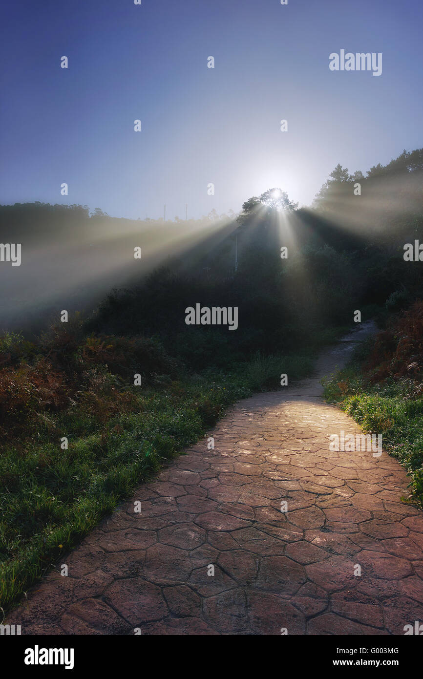 path with sun rays at morning Stock Photo - Alamy