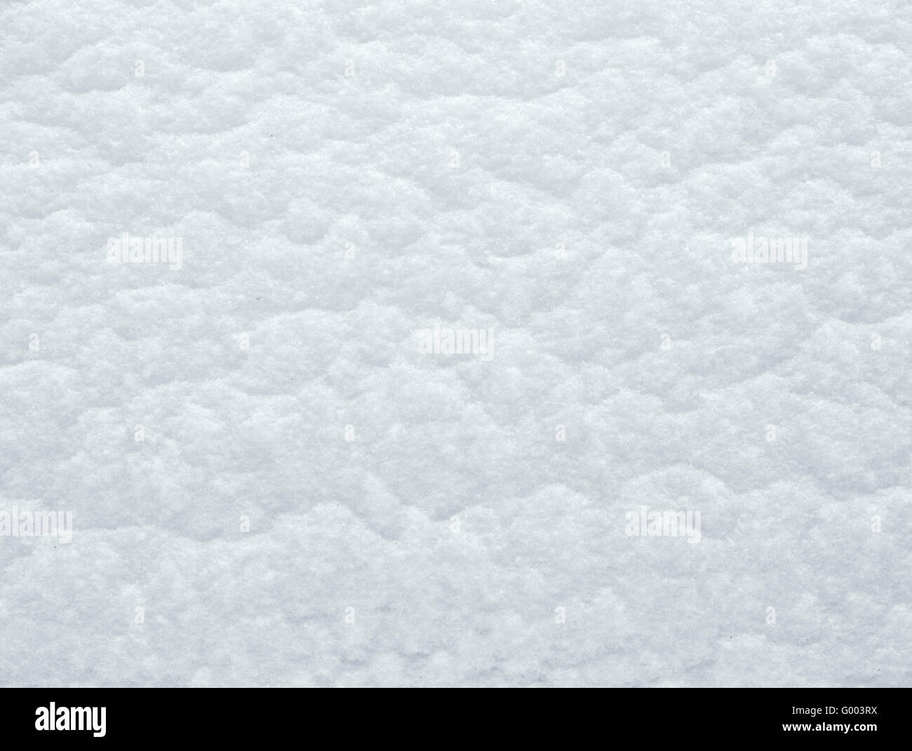 Tree covered fresh snow hi-res stock photography and images - Alamy
