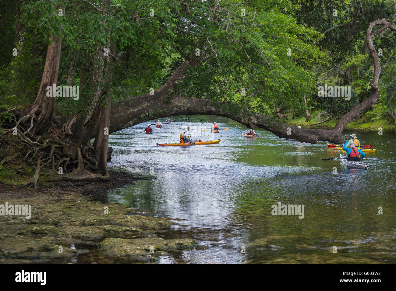 Poe Springs Park features a freshwater spring flowing out to the nearby ...