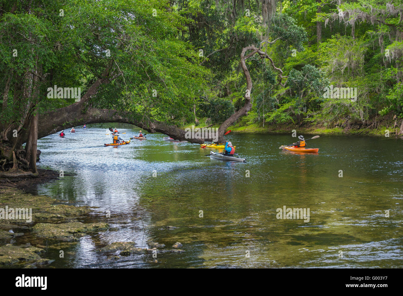 Florida poe springs park hi-res stock photography and images - Alamy