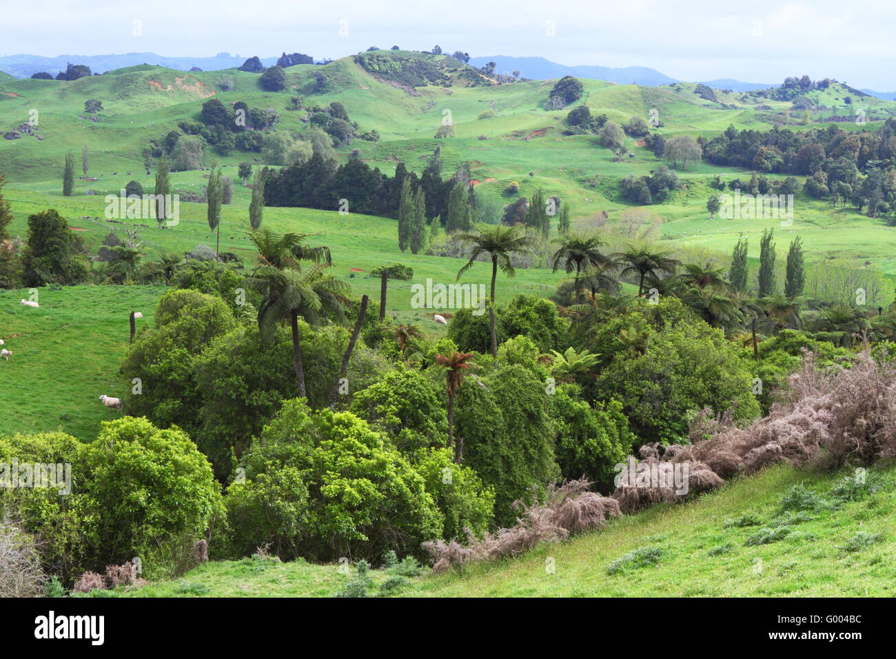 Hilly field picturesque landscape hi-res stock photography and images ...