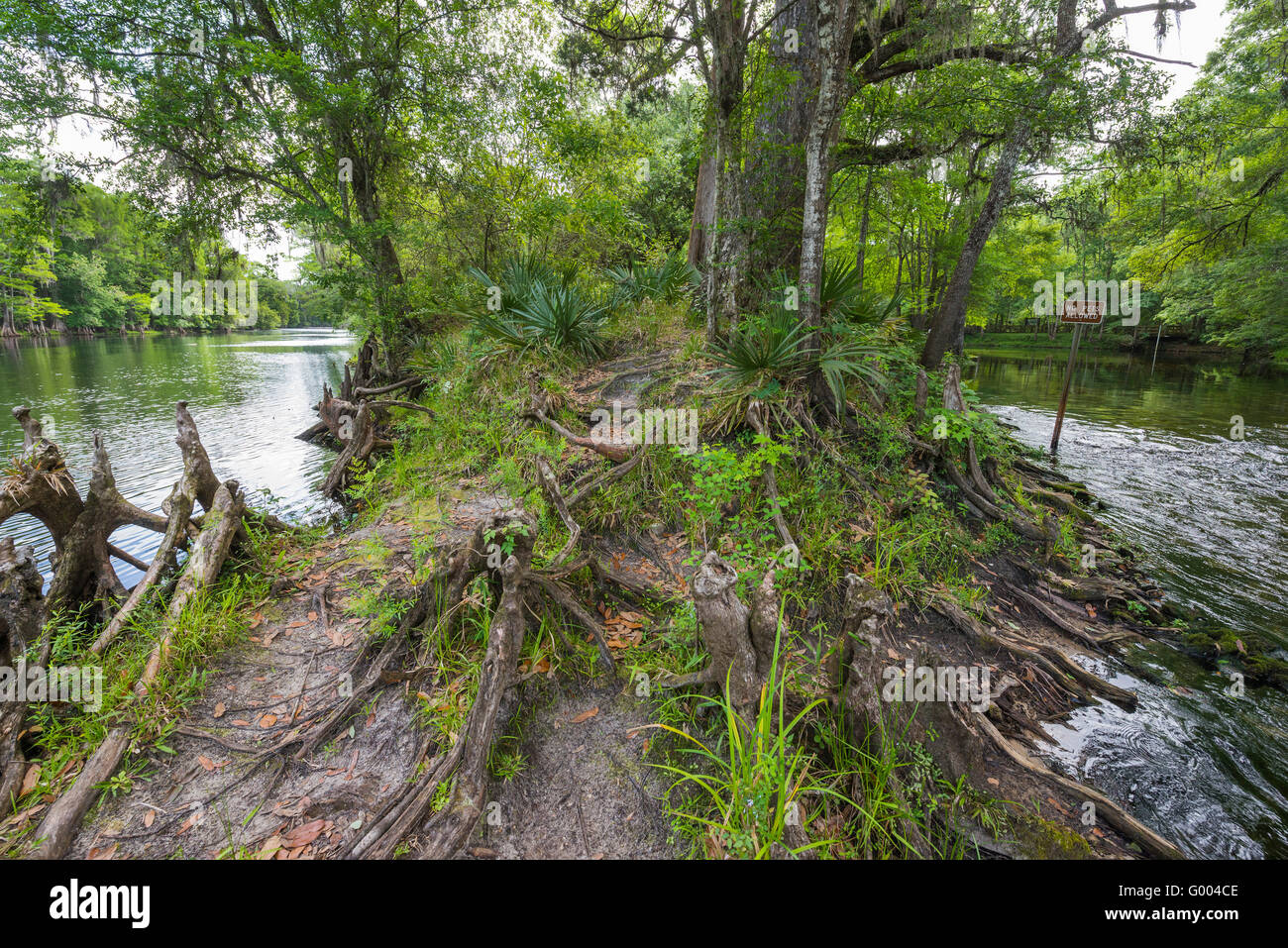Poe Springs Park features a freshwater spring flowing out to the nearby ...