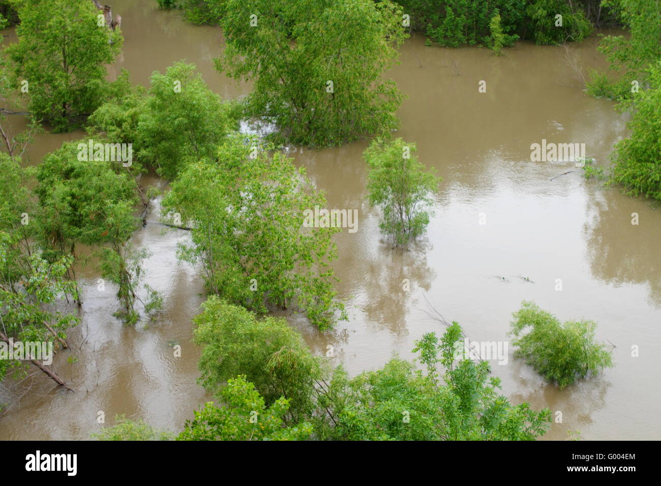 Trees and roads covered with flood water Stock Photo - Alamy