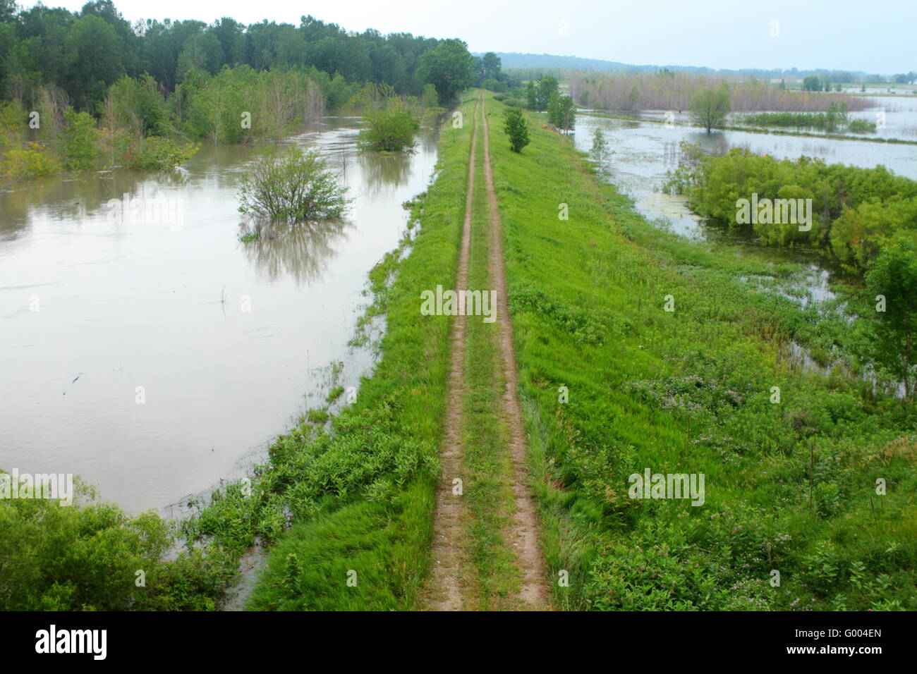 Trees and roads covered with flood water Stock Photo - Alamy