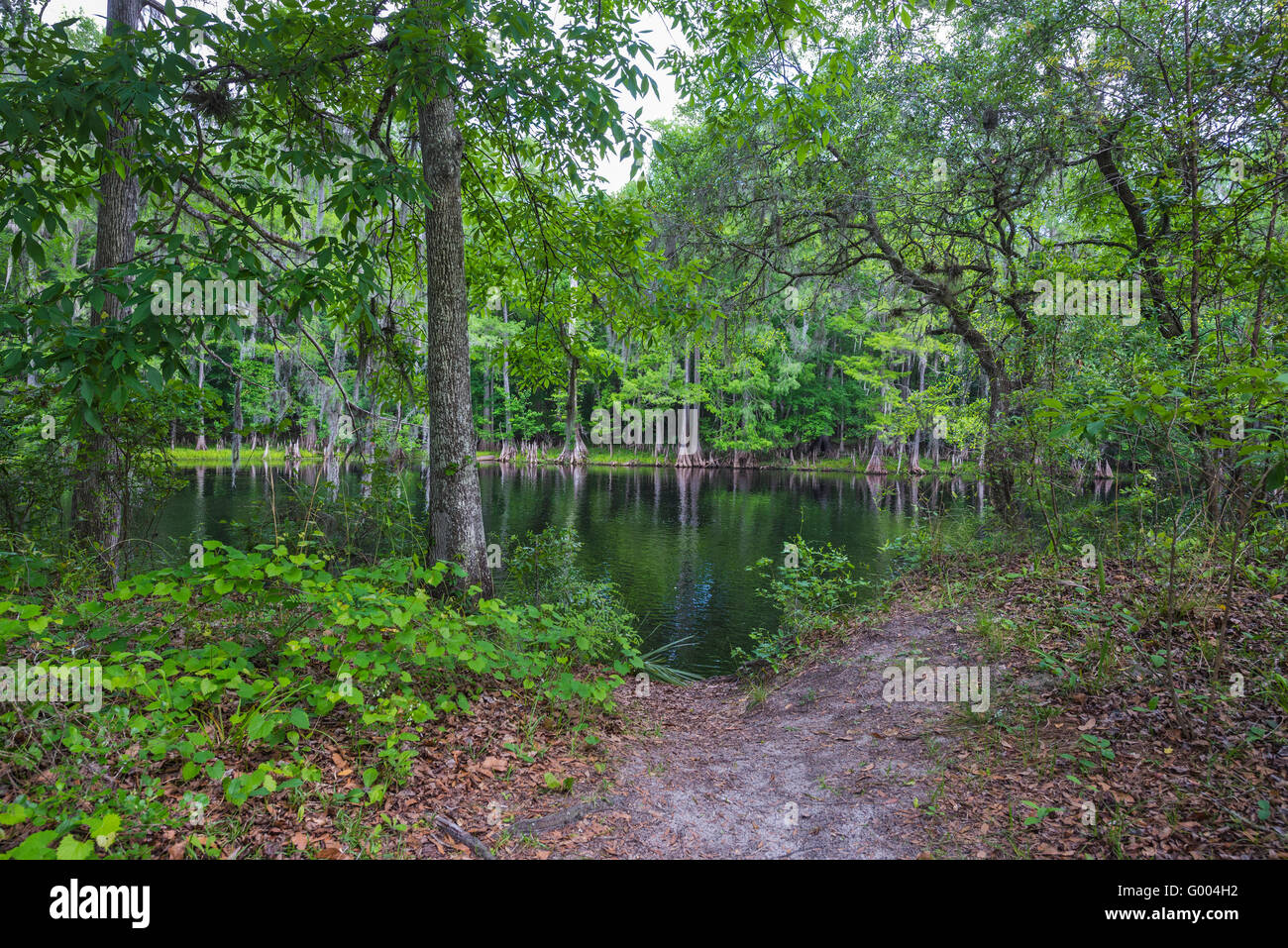 Poe Springs Park features a freshwater spring flowing out to the nearby ...