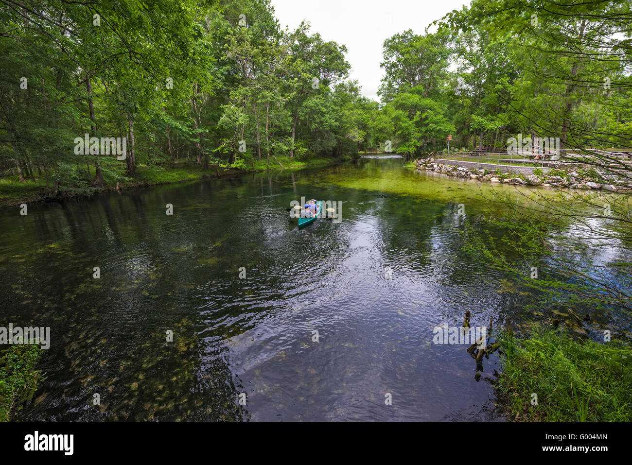 Florida poe springs park hi-res stock photography and images - Alamy