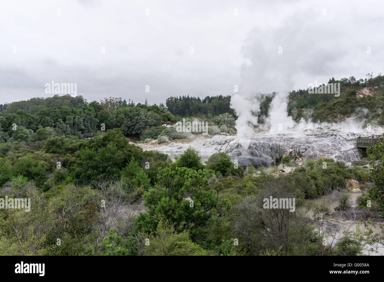 te puia geothermal valley Stock Photo - Alamy