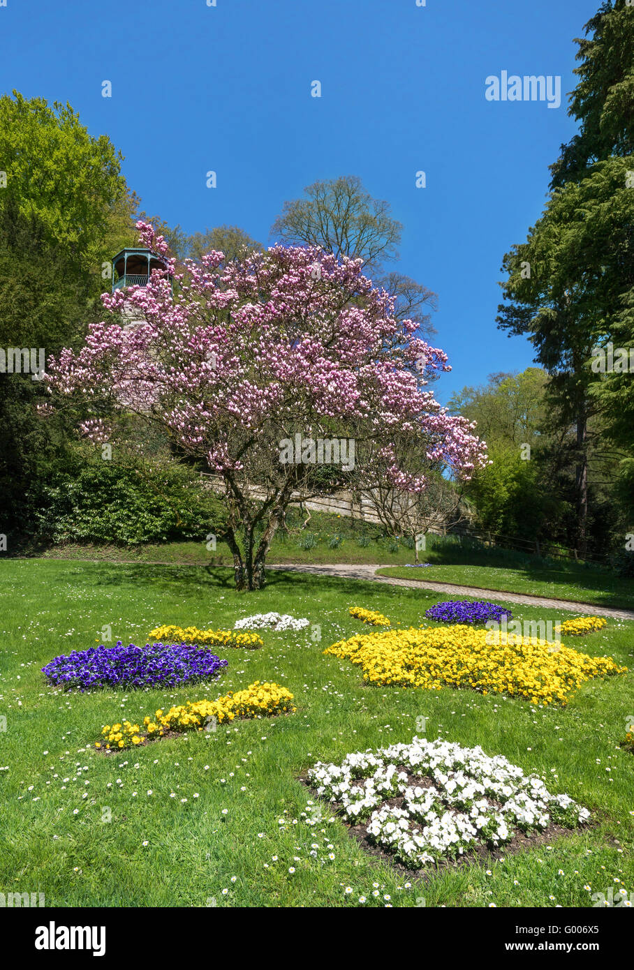 Park in spring Stock Photo - Alamy