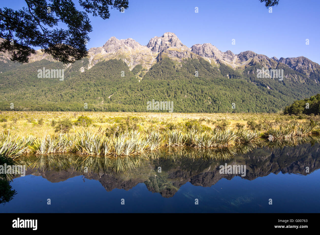 Mirror lake view hi-res stock photography and images - Alamy