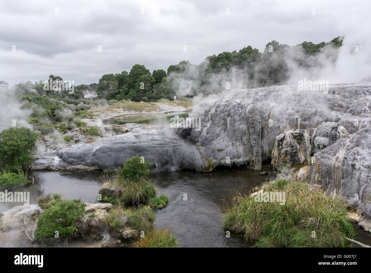 te puia geothermal valley Stock Photo - Alamy
