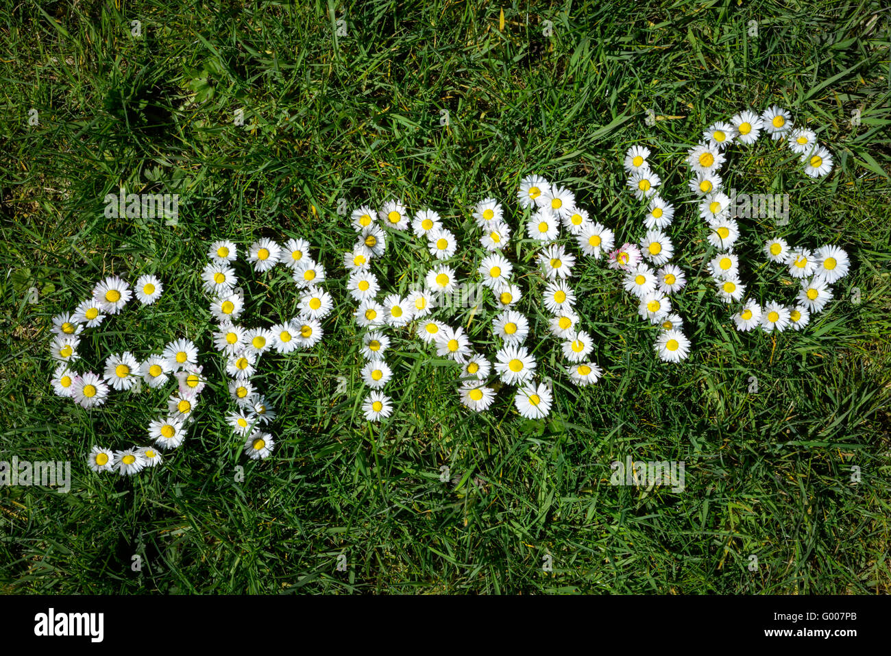 Word made out of wild daisies (bellis perennis) on green grassy ...