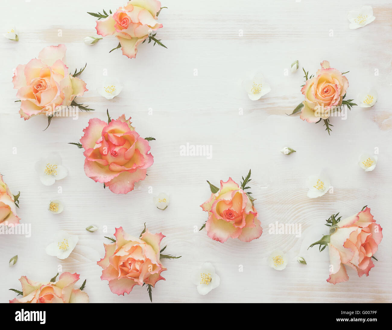 Pink Jasmine Flower Wallpaper