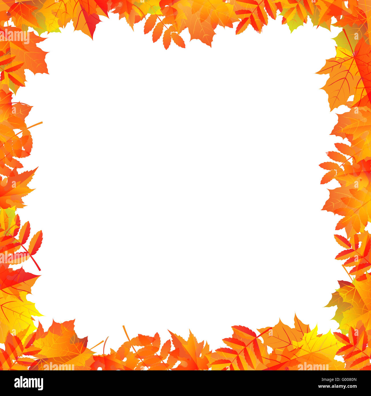Autumn Leaves Border Stock Photo - Alamy