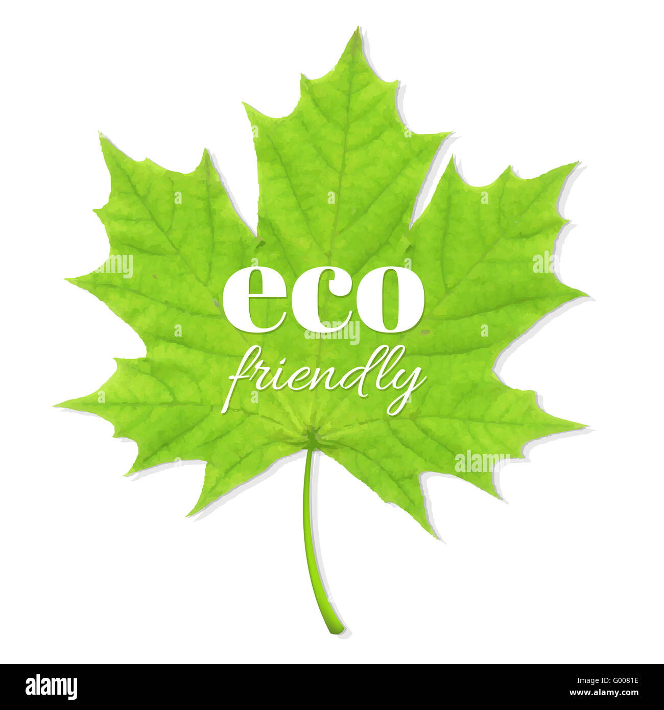 Eco friendly green leaf hi-res stock photography and images - Alamy