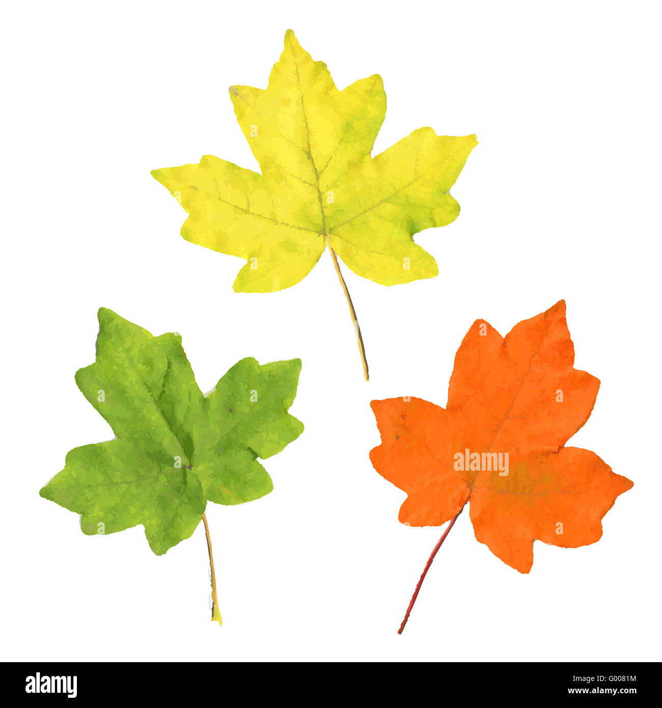 Color Autumn Leaves Stock Photo - Alamy