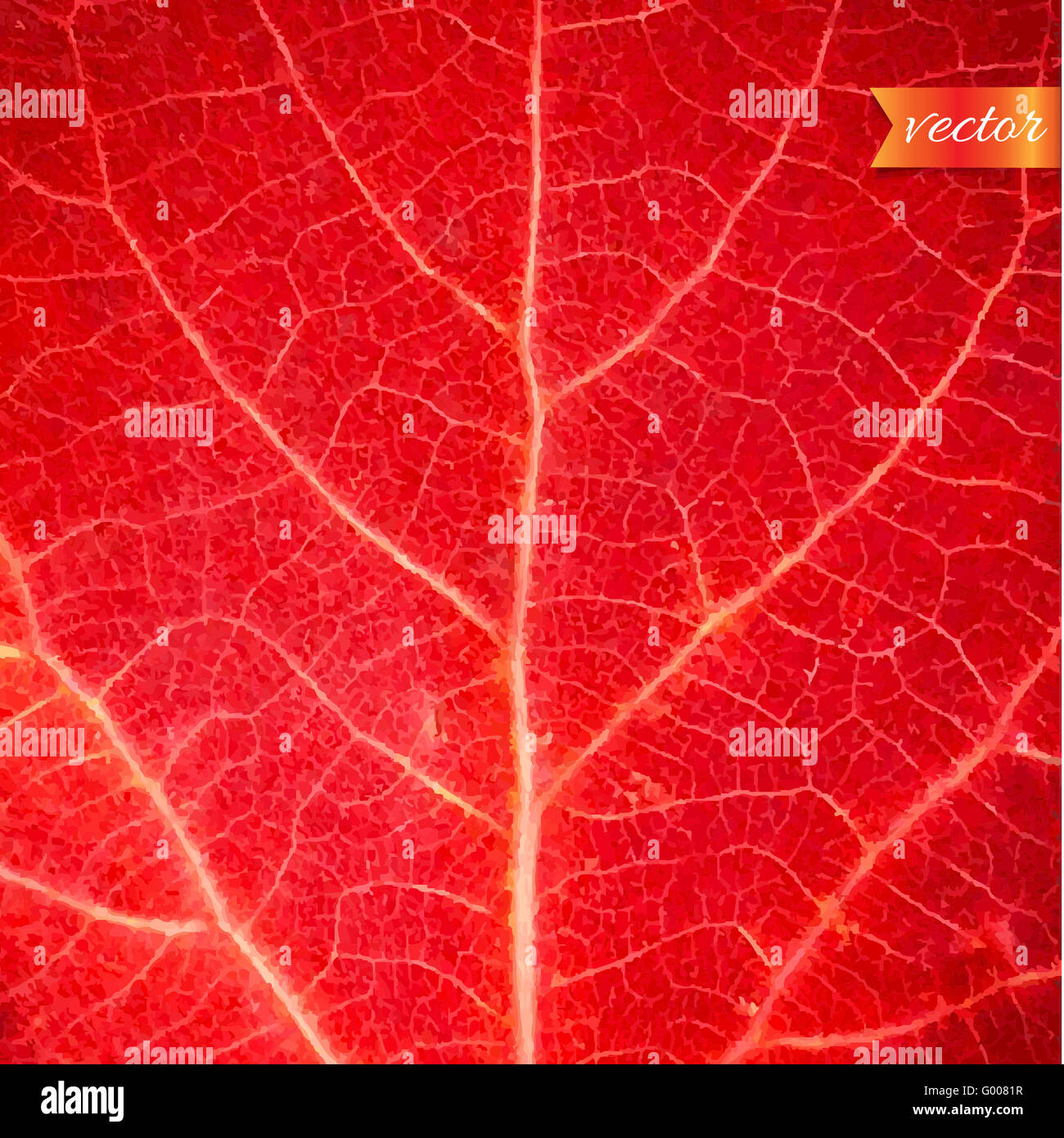 Red Leaf Texture Stock Photo - Alamy