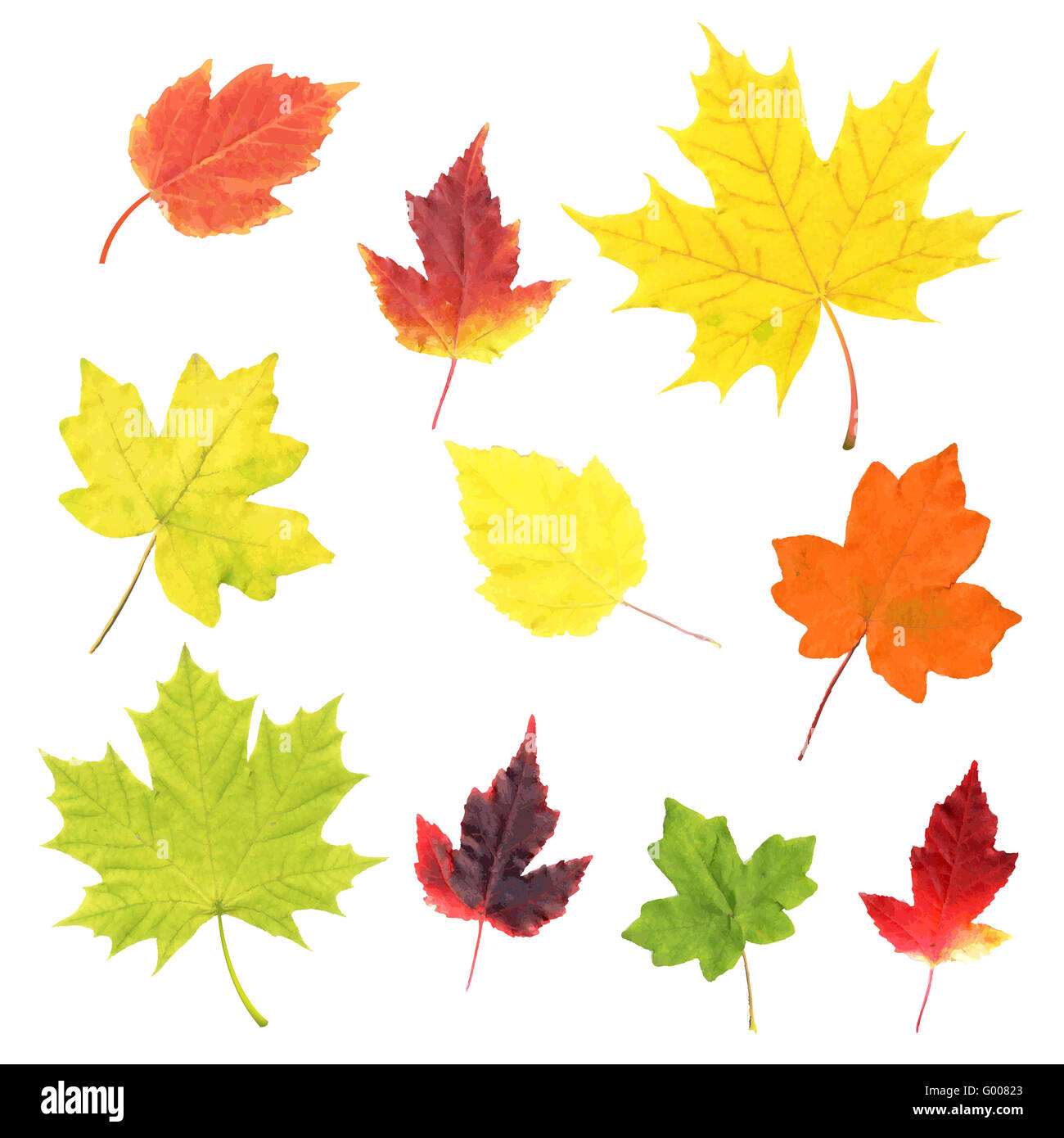 Autumn Leaves Set Stock Photo - Alamy