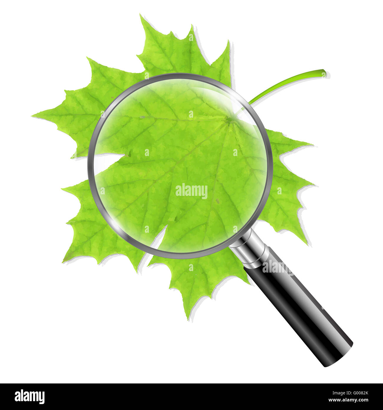 Magnifying glass icon plant hi-res stock photography and images - Alamy
